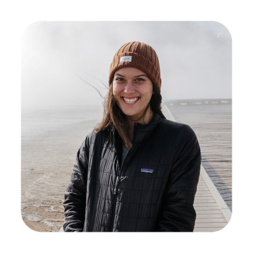 Meet our Summer 2022 Investigative Interns – Ida B. Wells Society